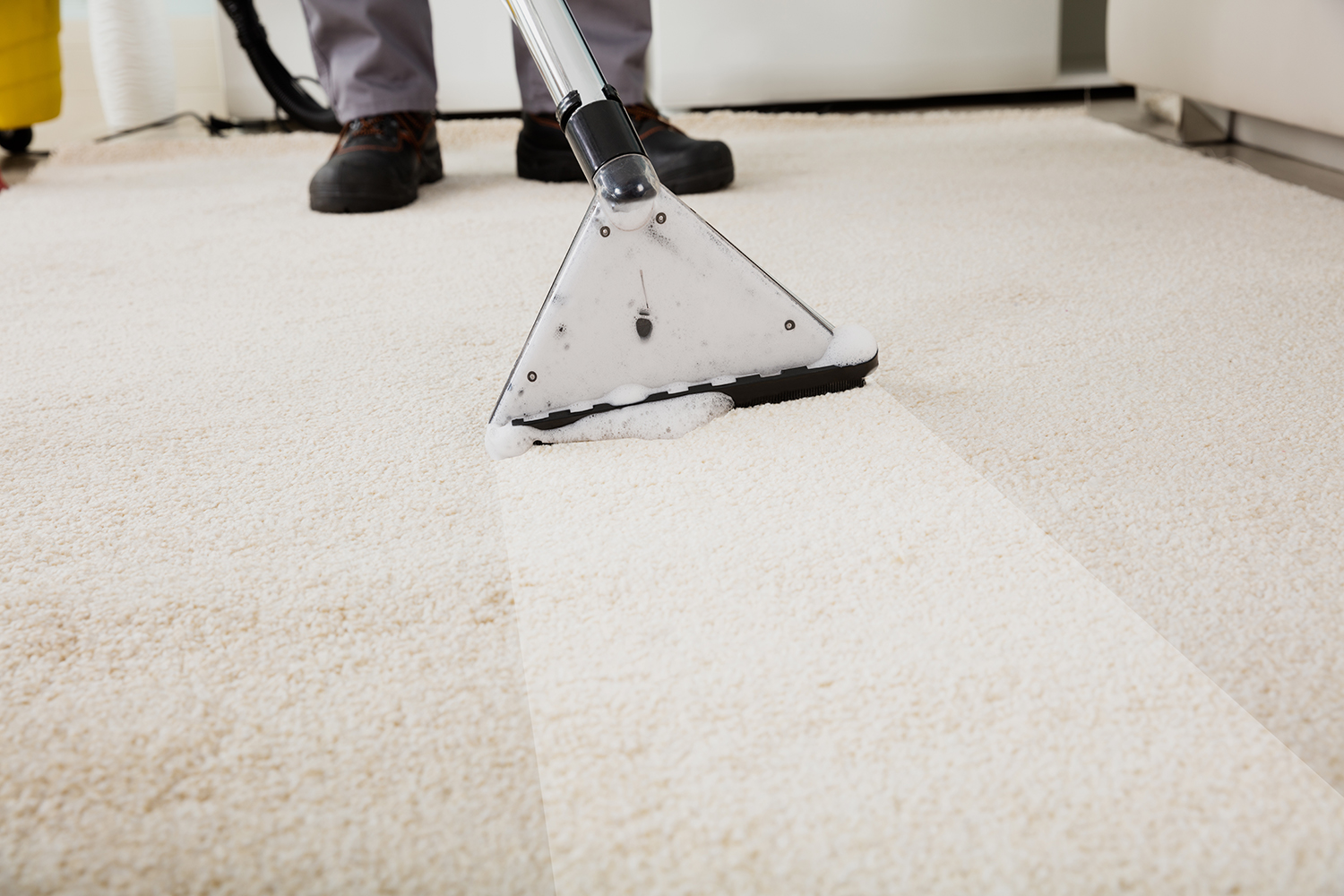 Why You Should Have Your Carpet Professionally Cleaned - A 360 Cleaning